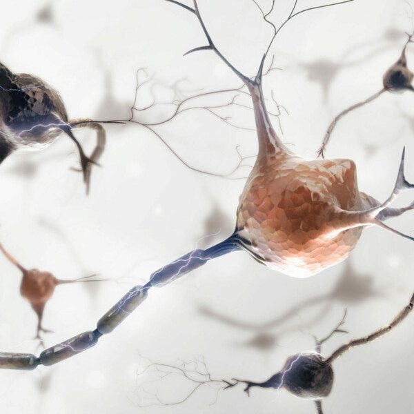 The 7 Stages of ALS: The Progression of a Nonlinear Disease