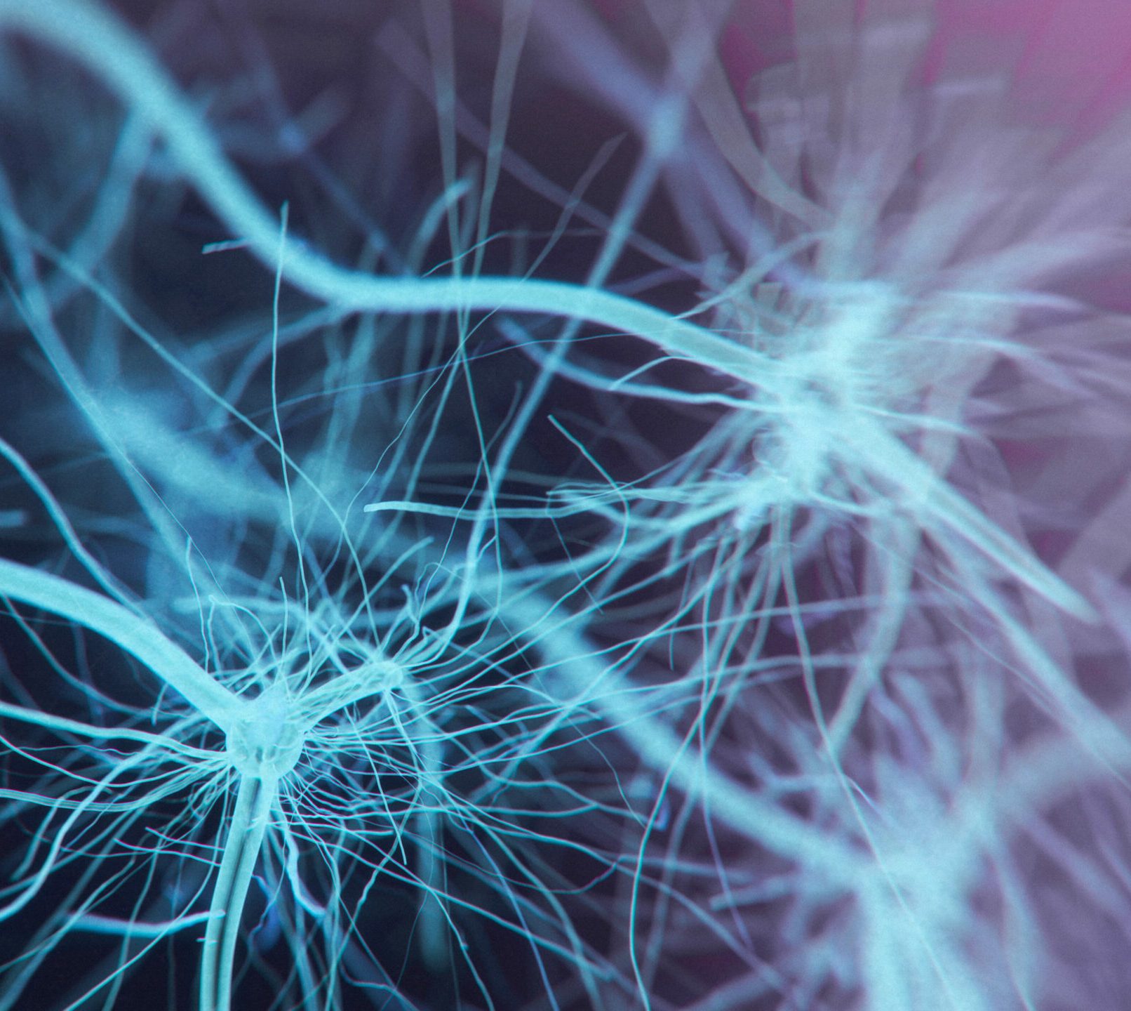 Caring for Someone with ALS: Advice for Caregivers & Loved Ones