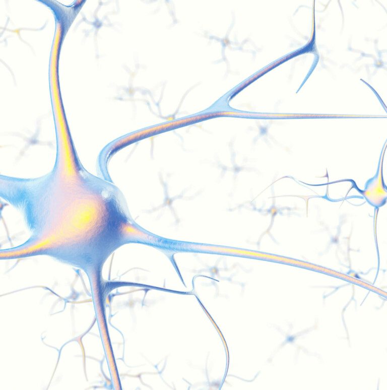 ALS vs Other Motor Neuron Diseases: What are the Differences?