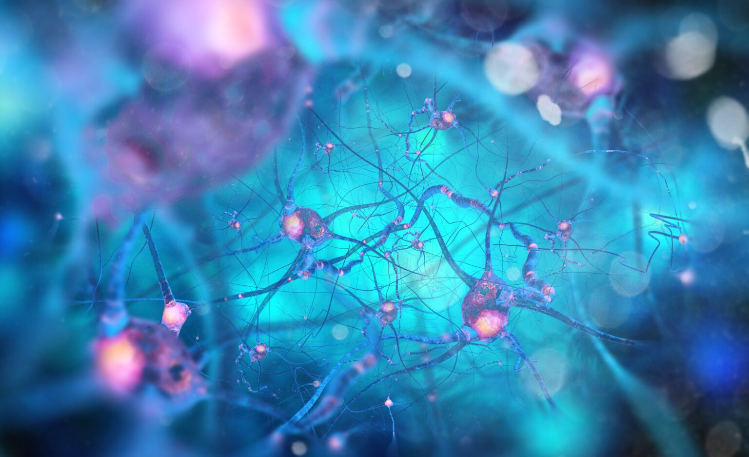 ALS vs Other Motor Neuron Diseases: What are the Differences?