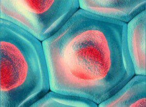 Target ALS | New York Based Foundation for ALS Research