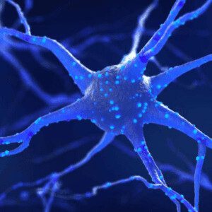 What is Bulbar ALS? Here Are The Top 6 Facts to Know