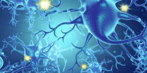 How Upper and Lower Motor Neurons Relate to ALS - Target ALS