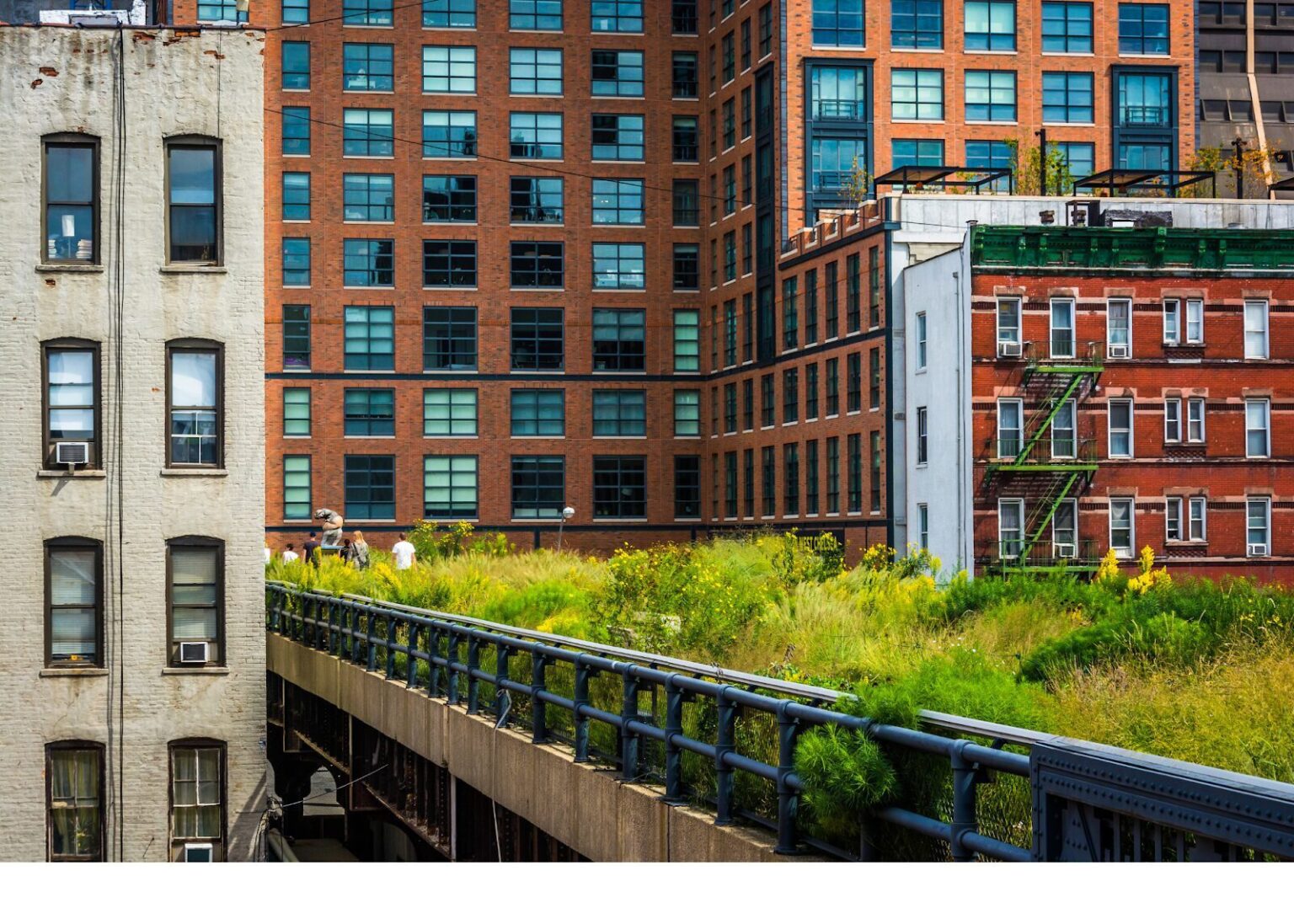 Dan Doctoroff: A Legacy Transforming ALS Research